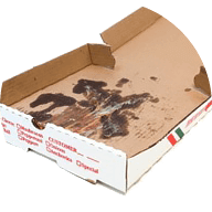 Chicago Recycling Guide