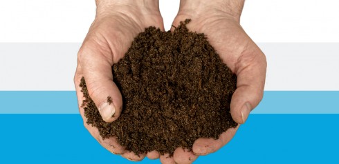 Recycling & Trash information for the City of Chicago
