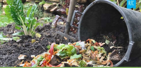 Composting in Chicago: A Complete Guide to Local Options for Recycling ...